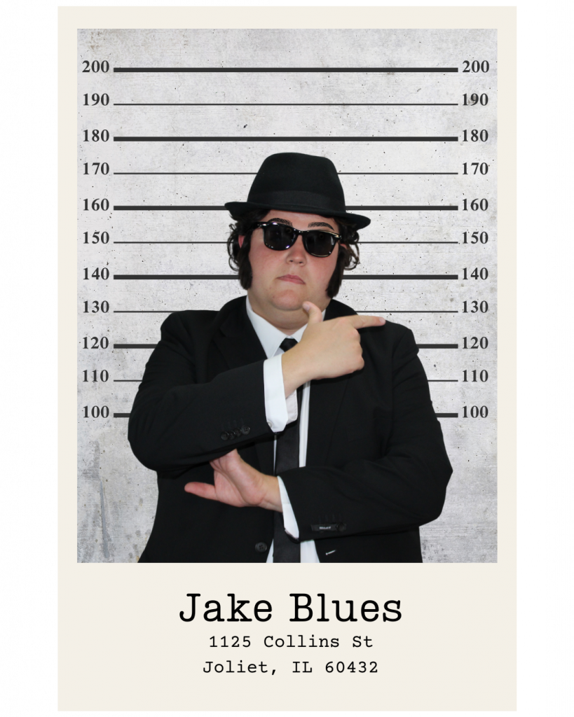 THE FANTASTIC BLUES BROTHERS Double • Tribute • Doppelgänger ...